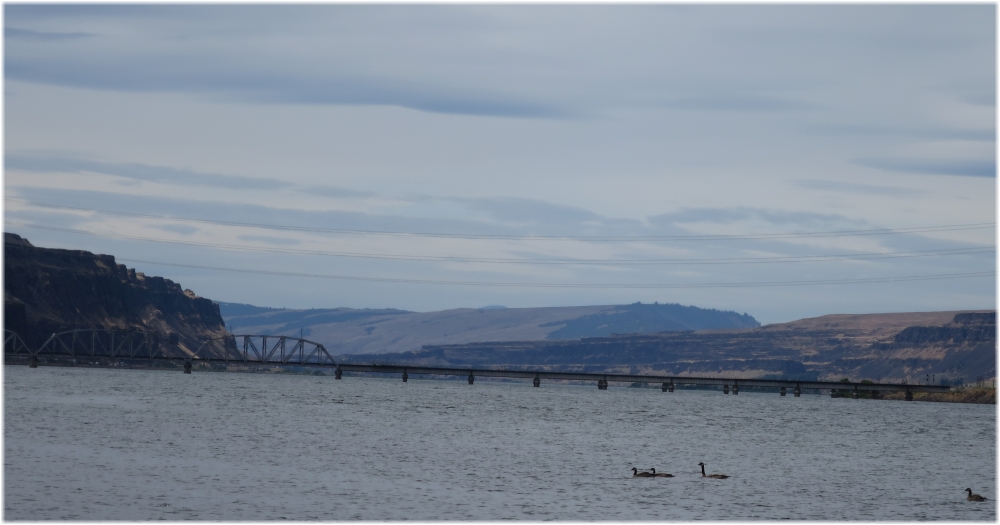 US, Oregon: Columbia River – Bonneville Dam and Hatchery – Multnomah ...